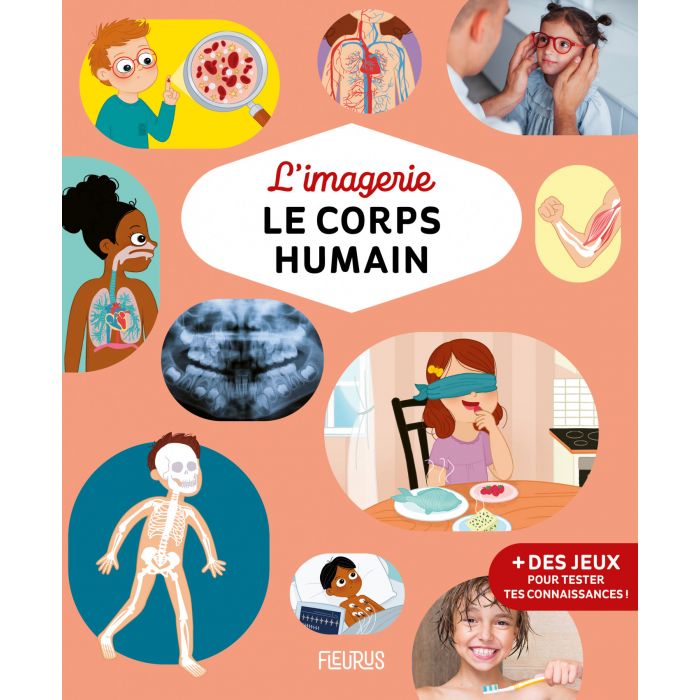 Quand le corps humain se découvre grâce à l’imagerie | Les enfants à la ...