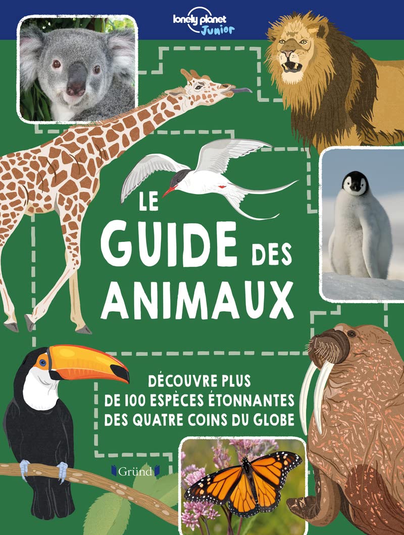 Quand les animaux se découvrent dans un magnifique guide | Les enfants ...